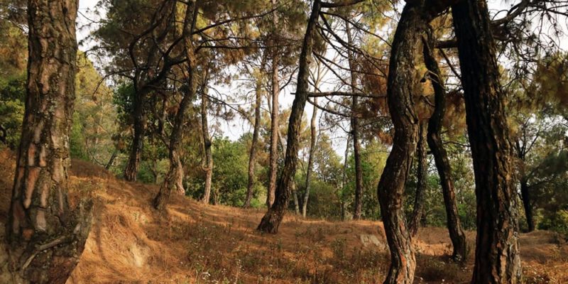 Shivapuri Archives ⋆ Full Time Explorer