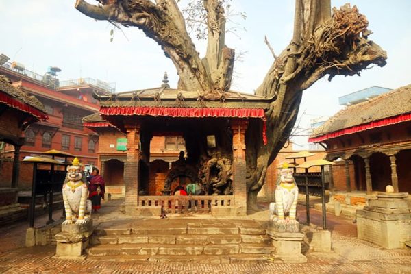 Chautari: Photography & Symbolism of Nepal’s Banyan Trees ⋆ Full Time ...