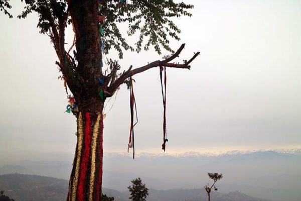 Chautari: Photography & Symbolism of Nepal’s Banyan Trees ⋆ Full Time ...